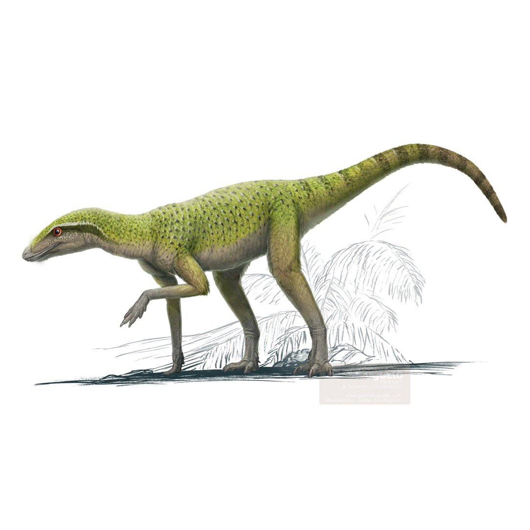 Twoucan - Gabriel N. U. (@SerpenIllus)