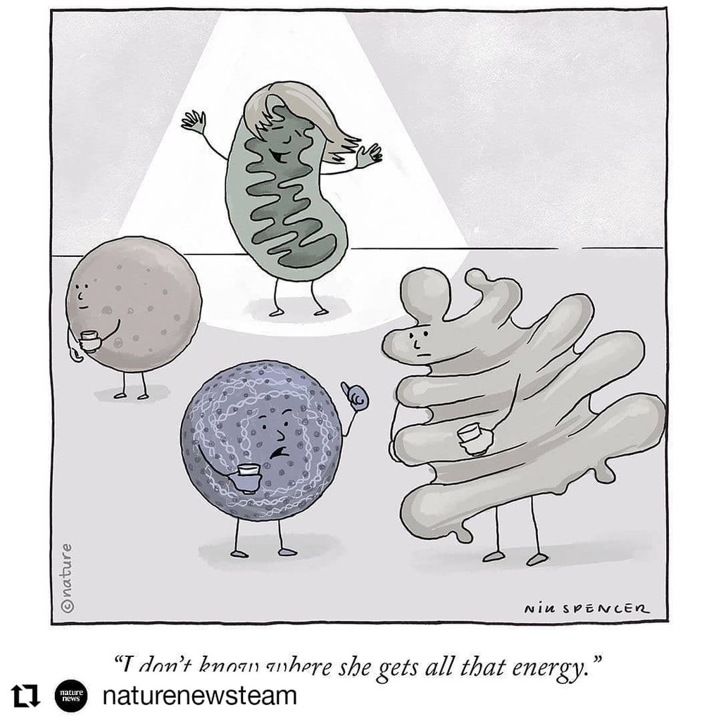 Funny Biology Cartoons