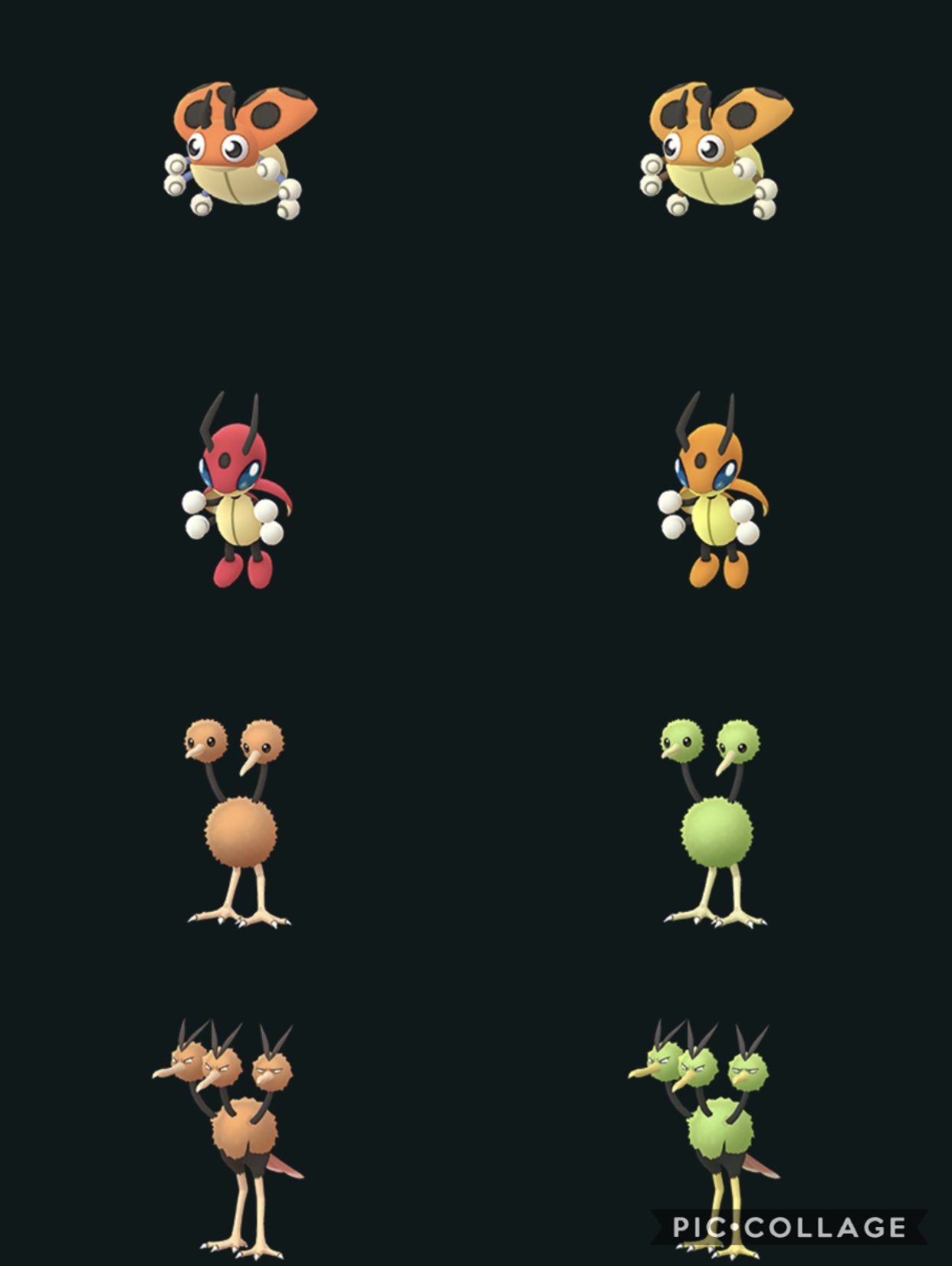 Ledyba Evolution