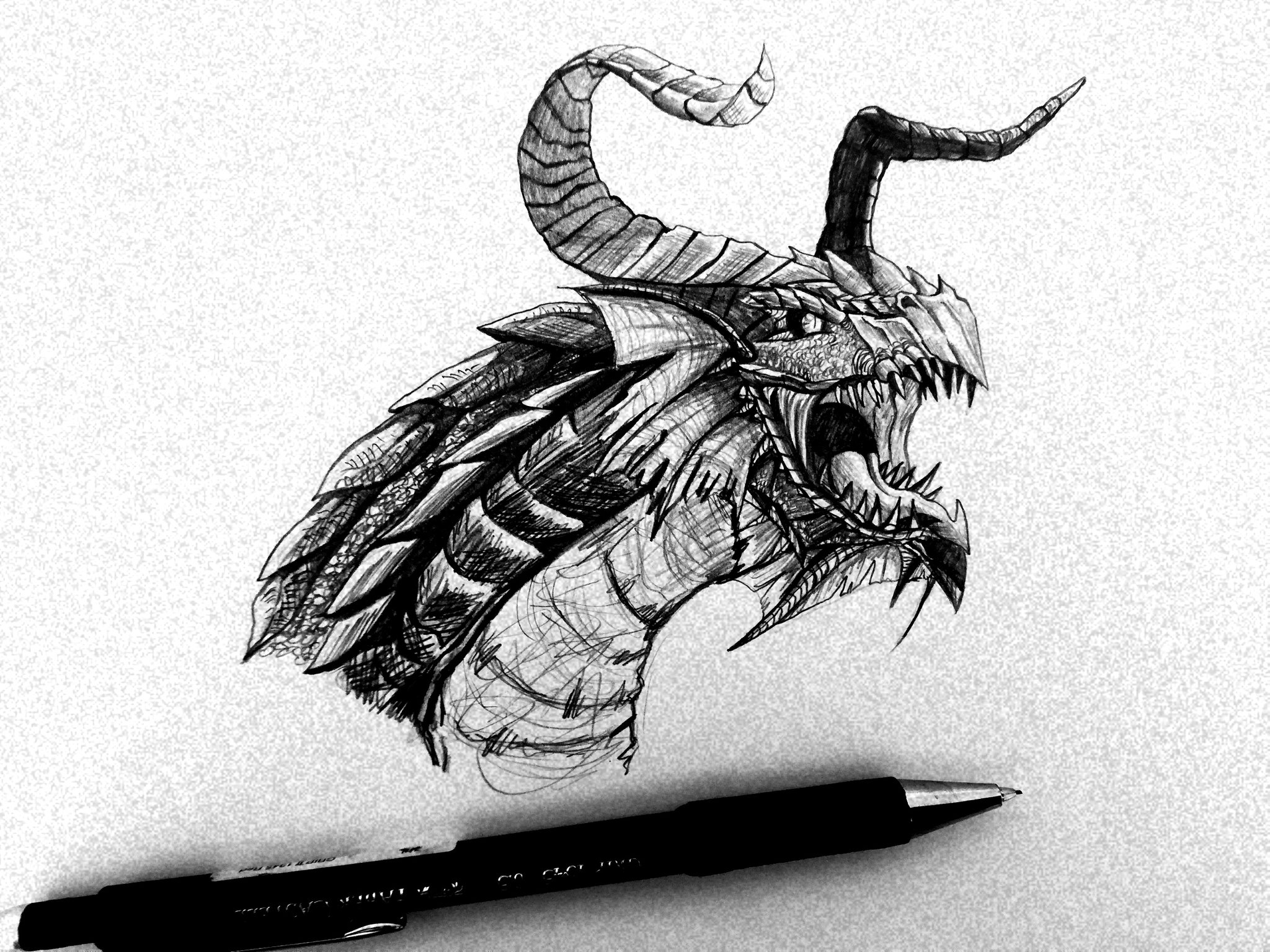 Pencil Drawing Of Dragons