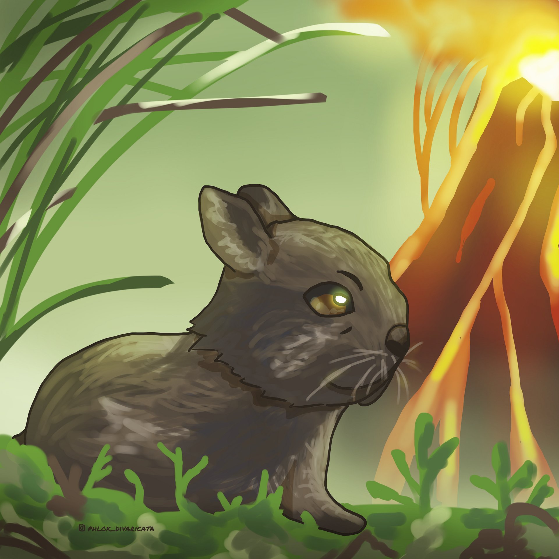 Volcano Rabbit Zoos In Japan Volcano Rabbit, Higashiyama Zoo, Nagoya