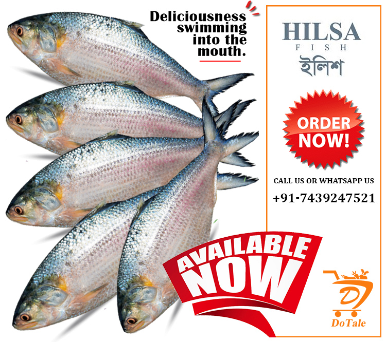 Hilsha Fish