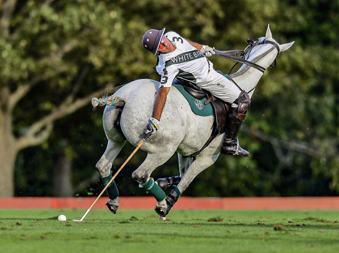 Home - Hurlingham Polo Club, Polo Team, Polo Game, Polo Magazine