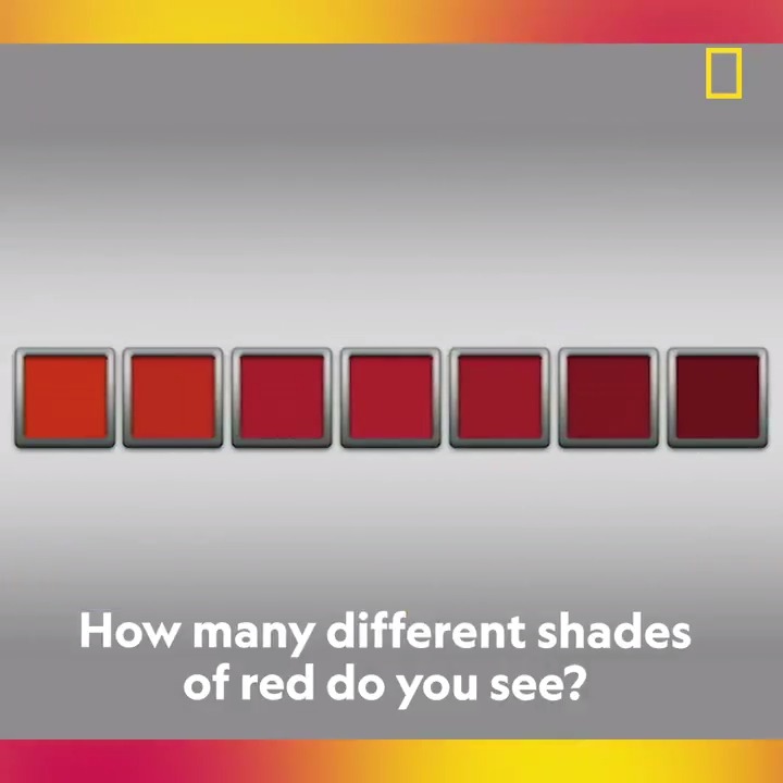 Brain Games Color Test