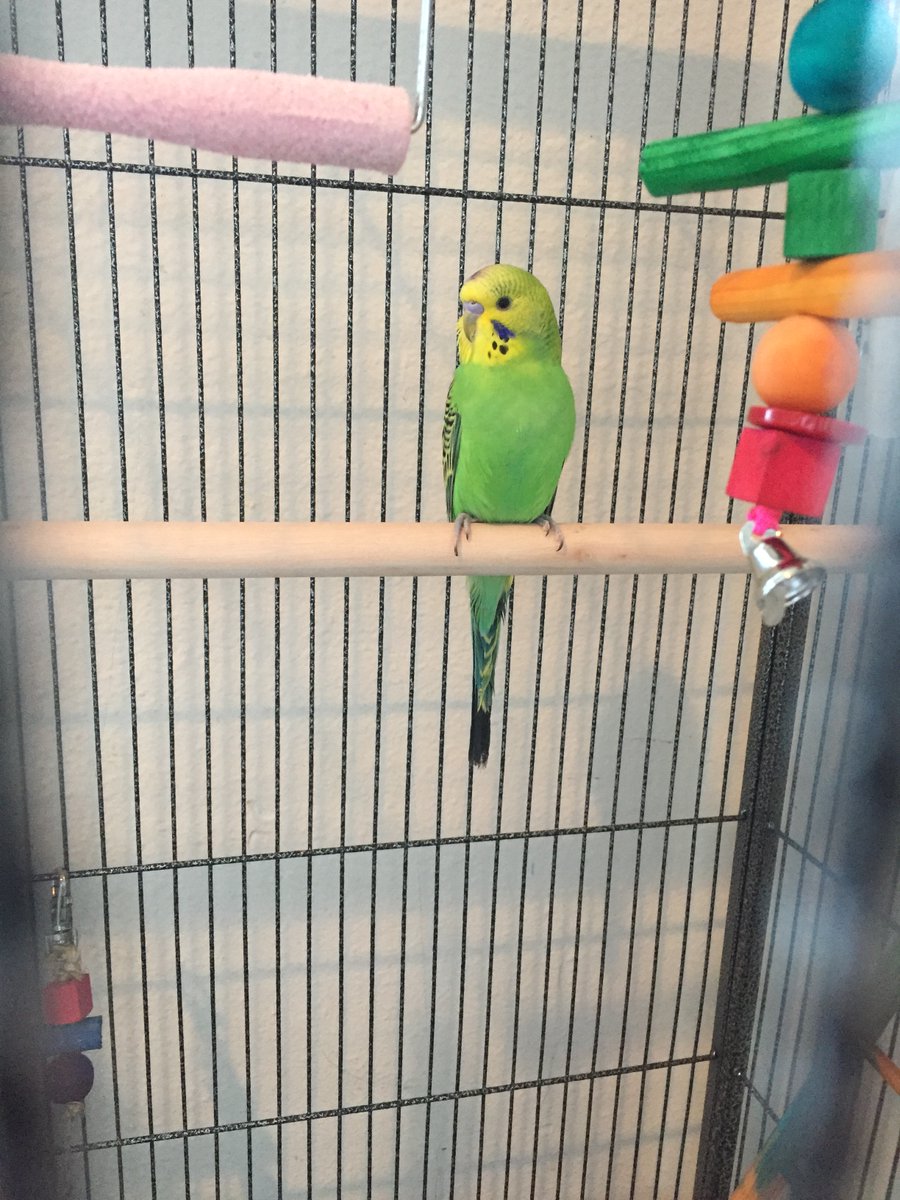 Video Game, 2D, Advertising Animation Company Austin and Los Angeles ...