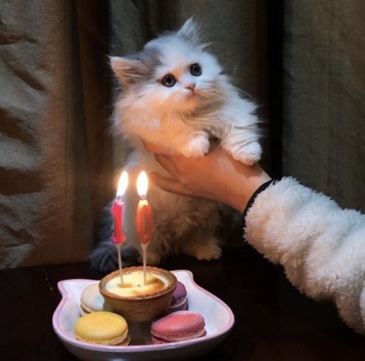 céss’ (@th_cecile) | Twitter