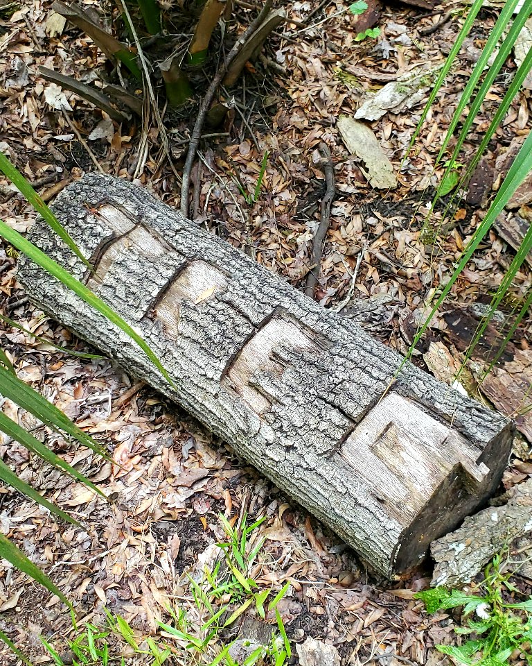 ILLUSTRATION – Portfolio of Mike Ponce