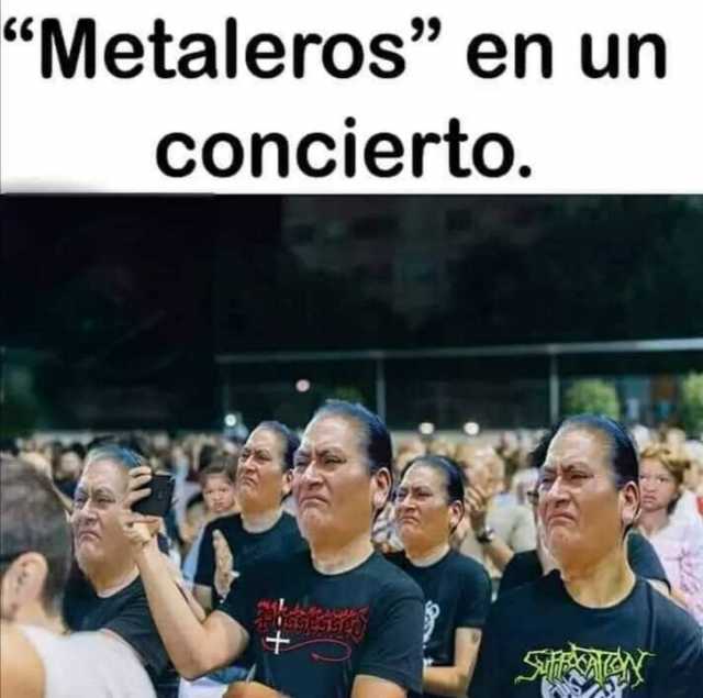 Memes Metaleros