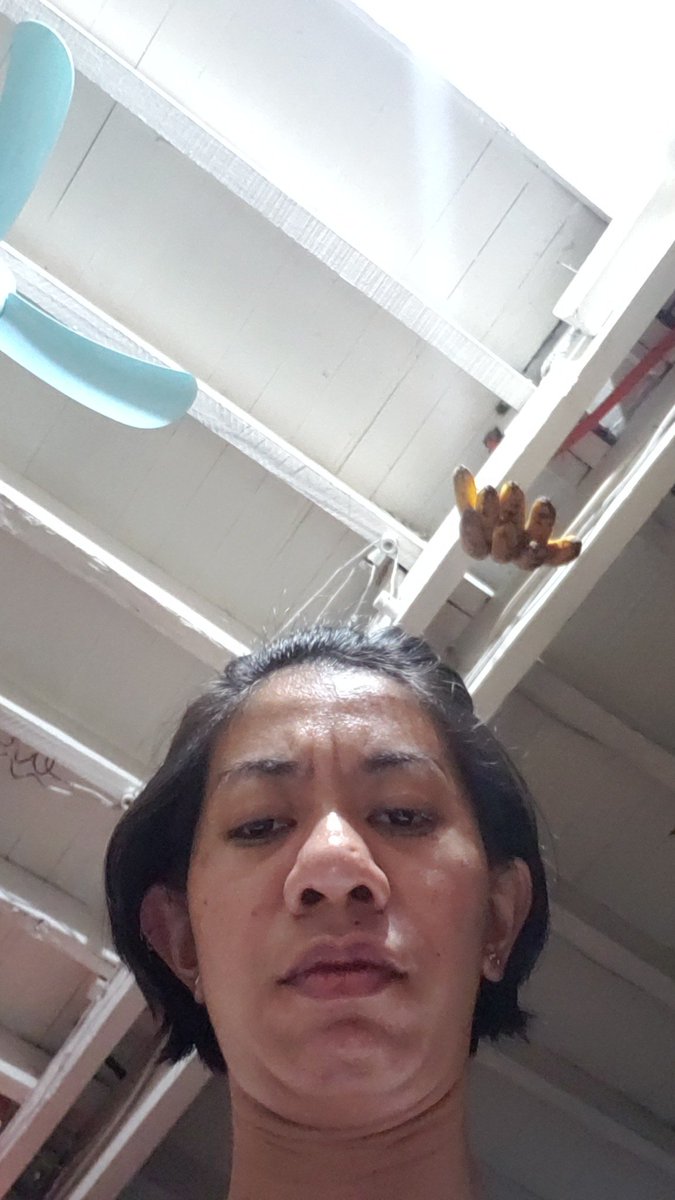 Joyce Glorioso's Instagram, Twitter & Facebook on IDCrawl