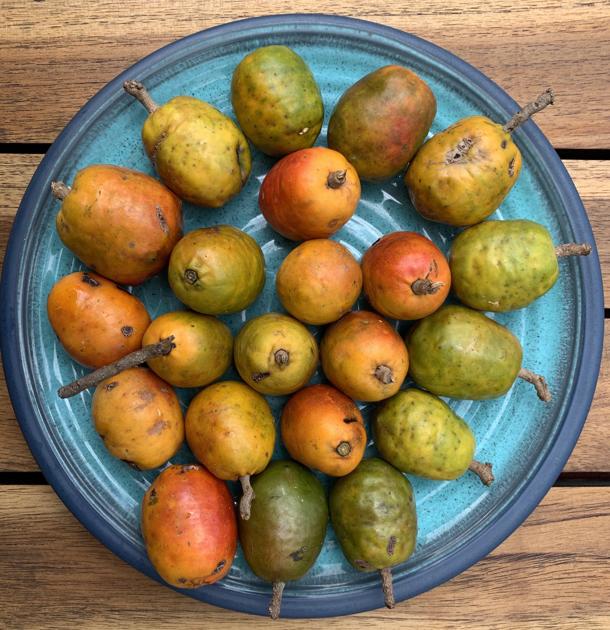 Cocotas Fruta Jocote: Qué Es Y Cuáles Son Sus Beneficios