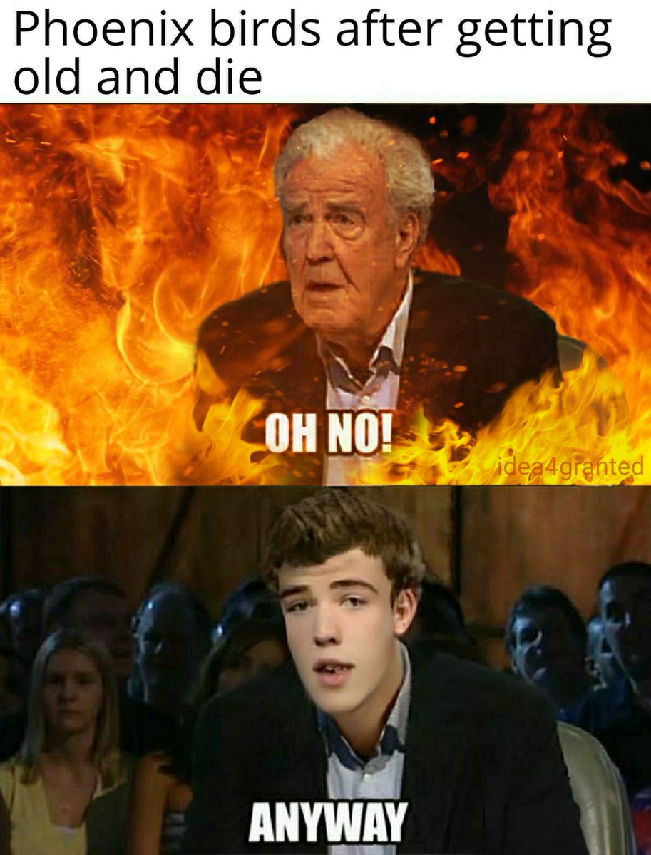 Die In A Fire Meme