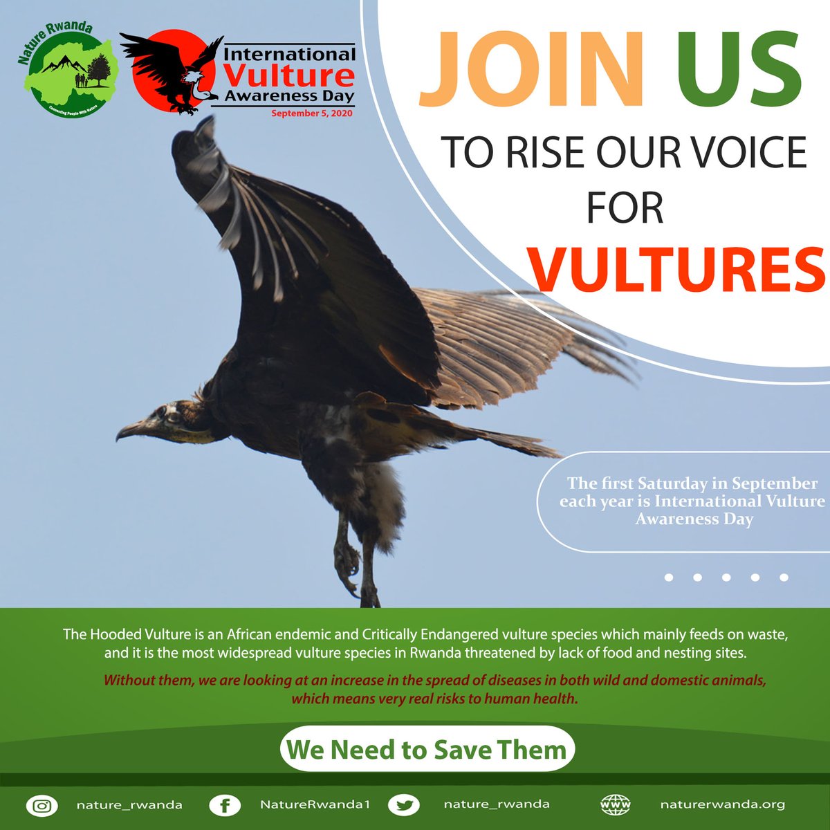 Nature Rwanda - Conservation Optimism