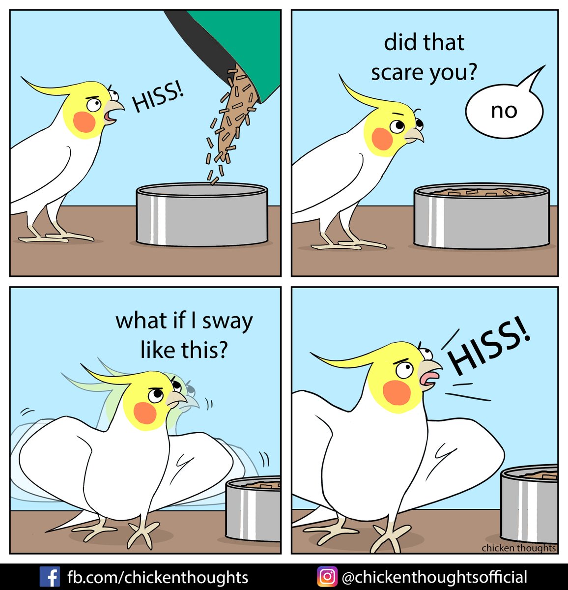 「Preorder the Chicken thoughts book now! 」|Chicken Thoughtsの漫画