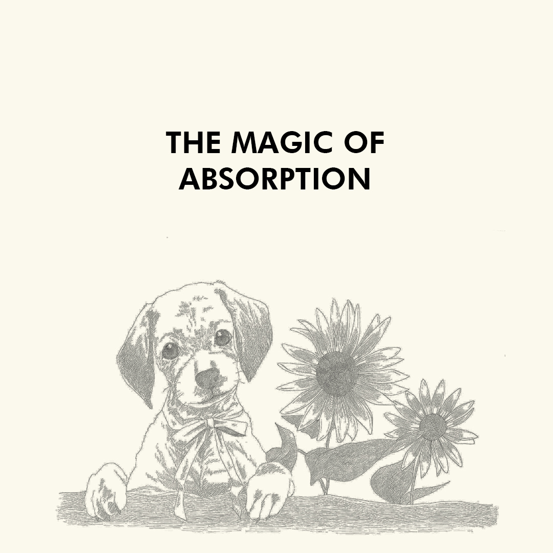 Shuvendu Halder Chayan (@ChayanShuvendu) | Twitter