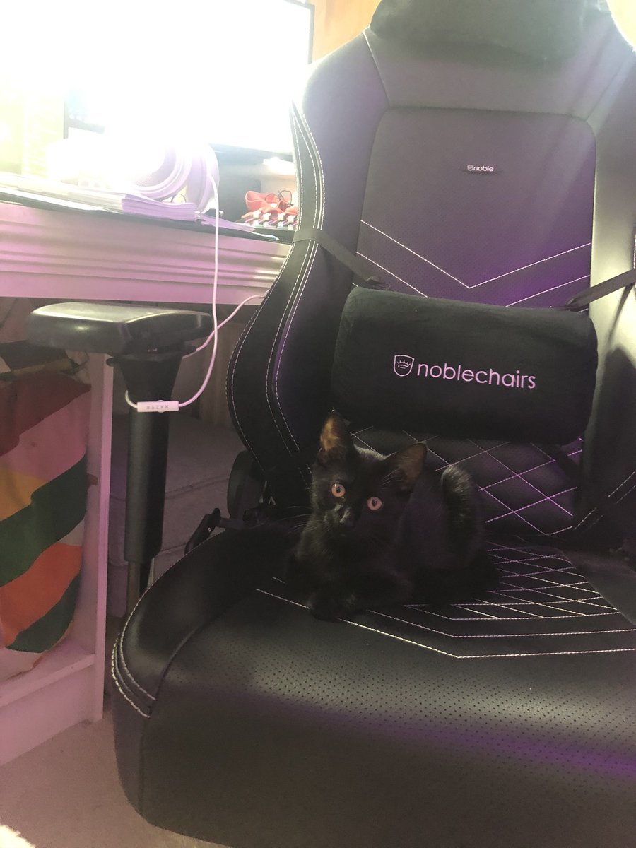 Charleyy Hodson 🏳️‍🌈 @itsCharleyytho Timeline, The Visualized Twitter ...