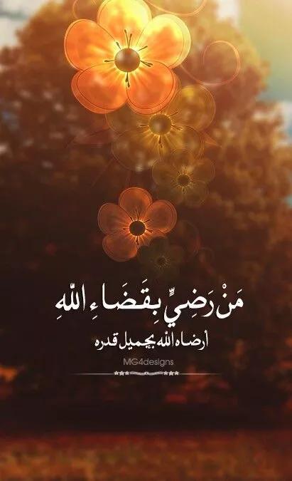 Sameh (@Sameh50752210) | Twitter