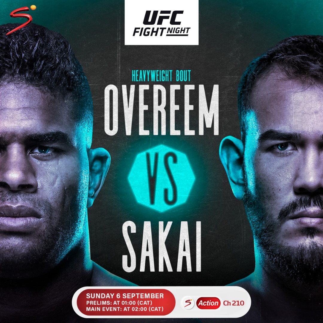 Ufc 176 Poster