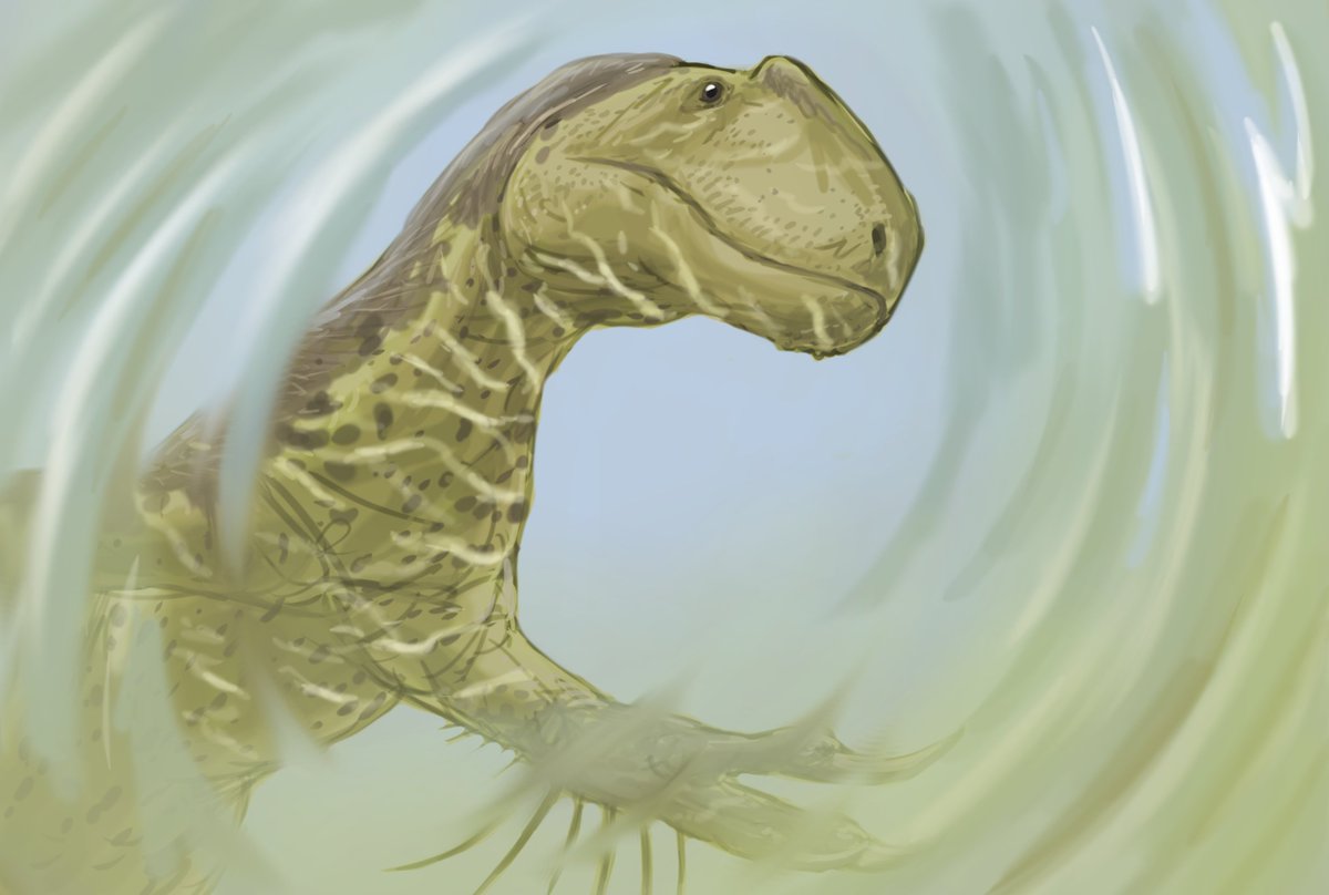 Results from the first regular #paleostream in weeks! Piscogavialis ...