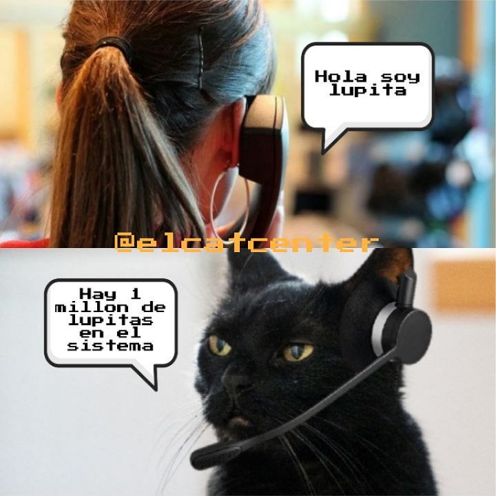 Cat Call Center Memes Hardworking Cat Works In A Call Center With A