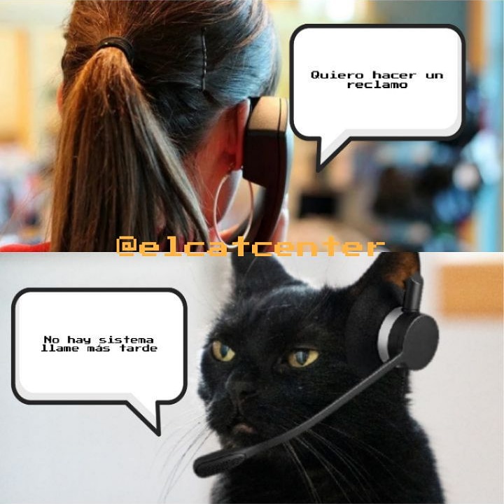 Call Center Cat Meme