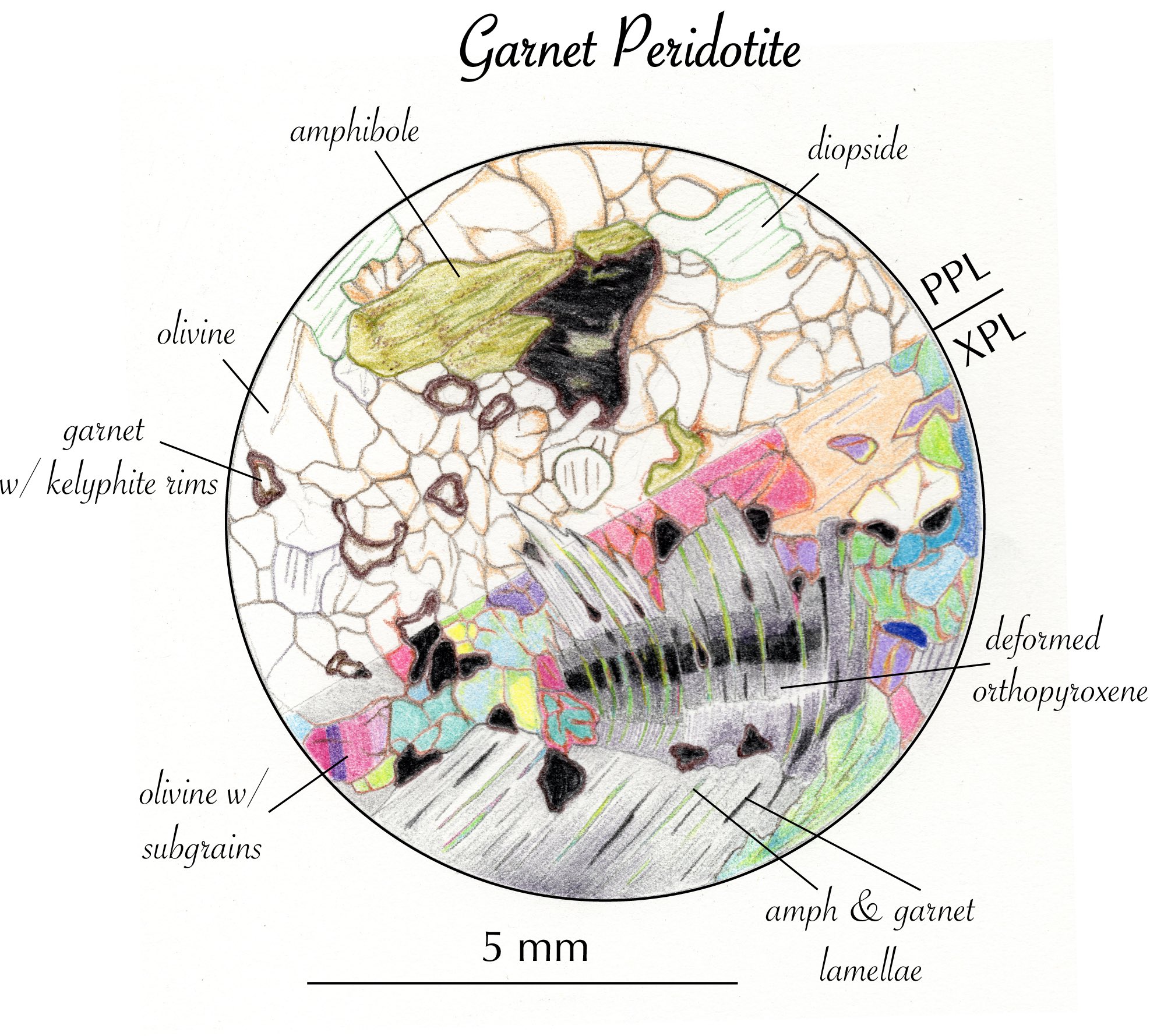 Diopside Thin Section