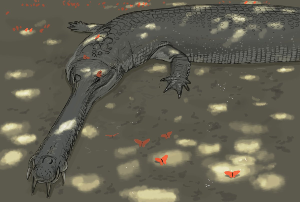 Twoucan - Joschua Knüppe (@JoschuaKnuppe)