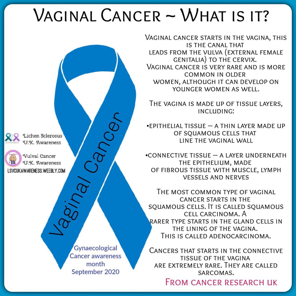 Vaginal Cancer Ribbon