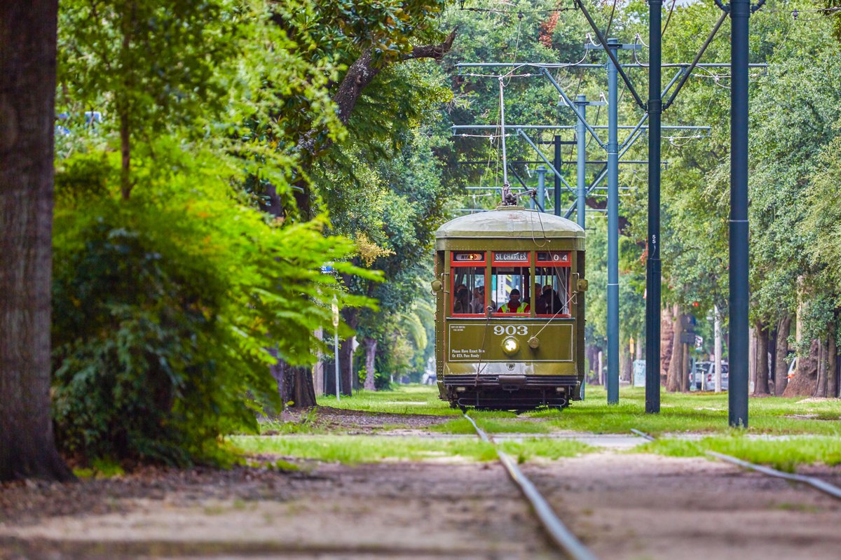 Louisiana: Images of the Pelican State - the 35th in a year-long photo ...