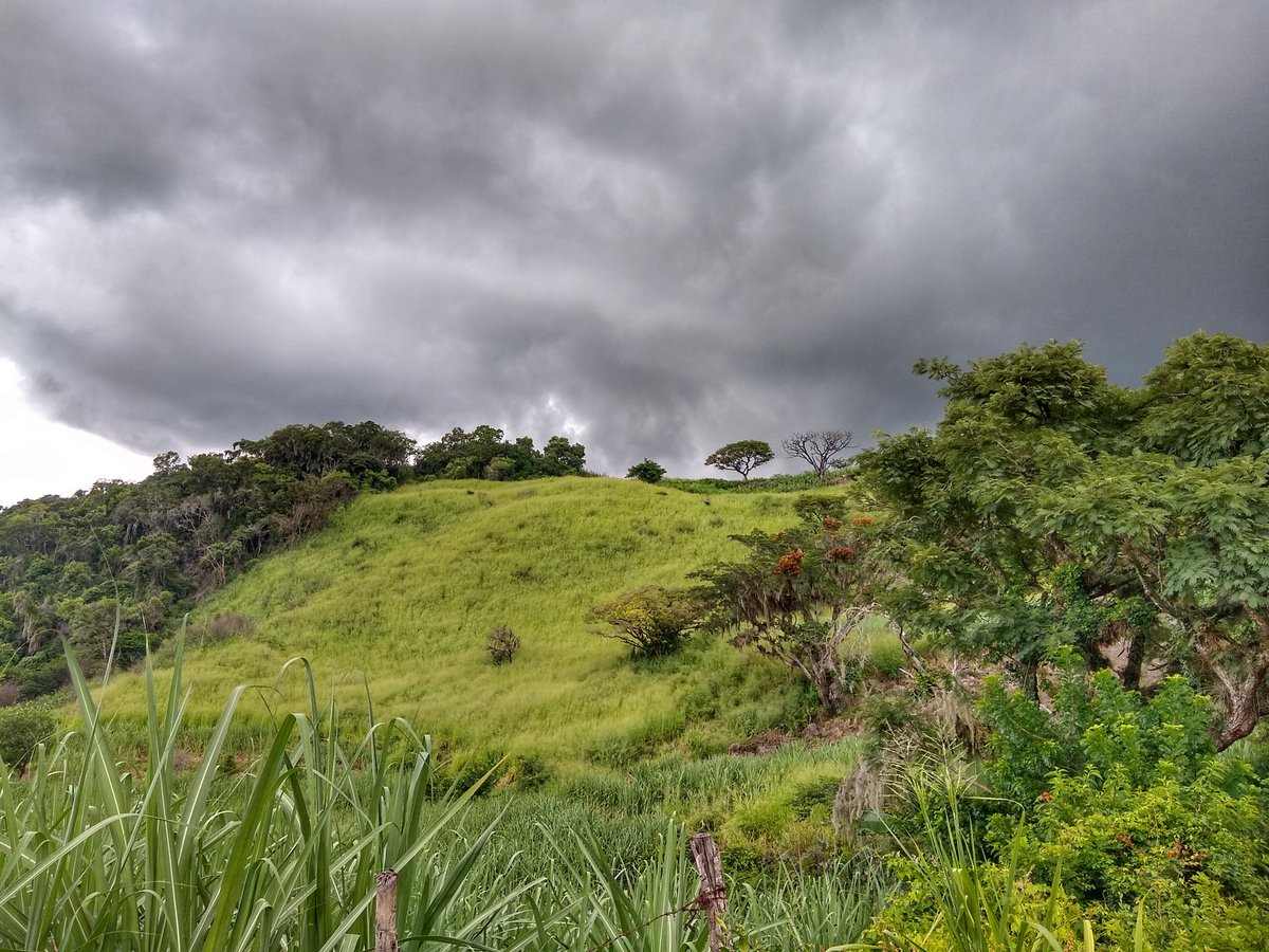 Grisel 🌸 (@Grisel_Mtnez) | Twitter