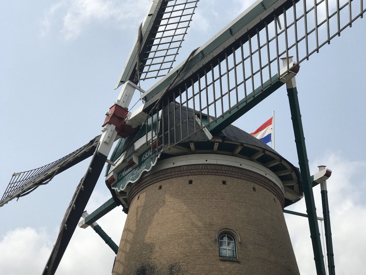 Naoki Hamada (@NaokiHamada2) | Twitter