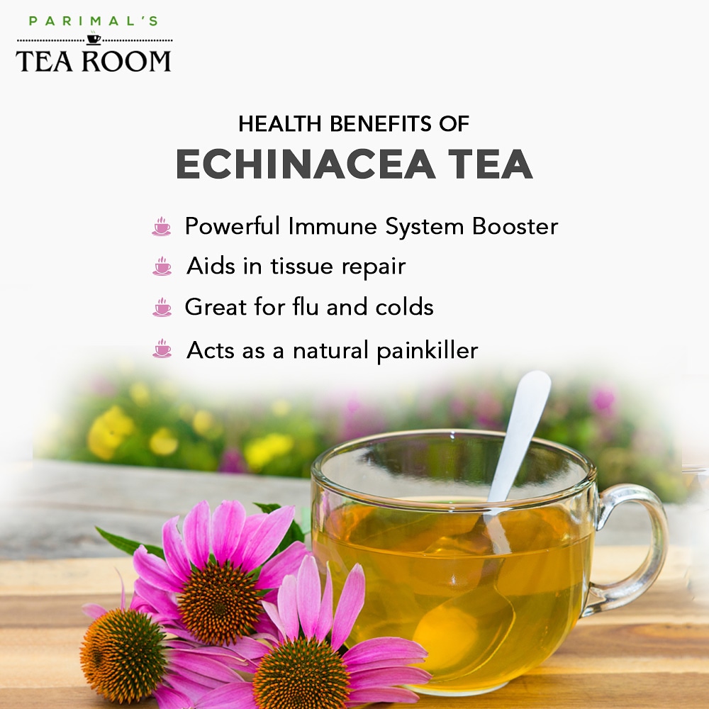 Echinacea Tea For Colds