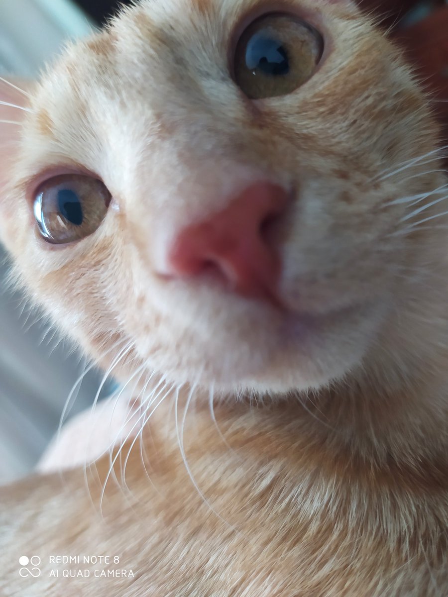 Onur (@onur_altuntas_) | Twitter