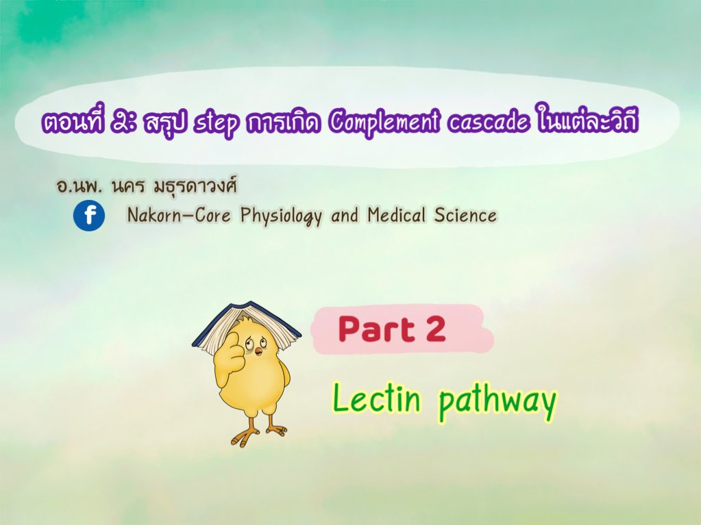Nakorn-Core Physiology and Medical Science on Twitter: "เรียน #Lectin pathway กันครับ😉 . 🌵 ตอน ...