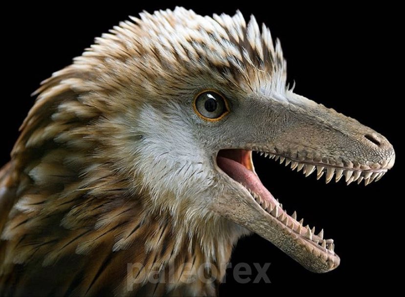 Realistic Dinosaur Art
