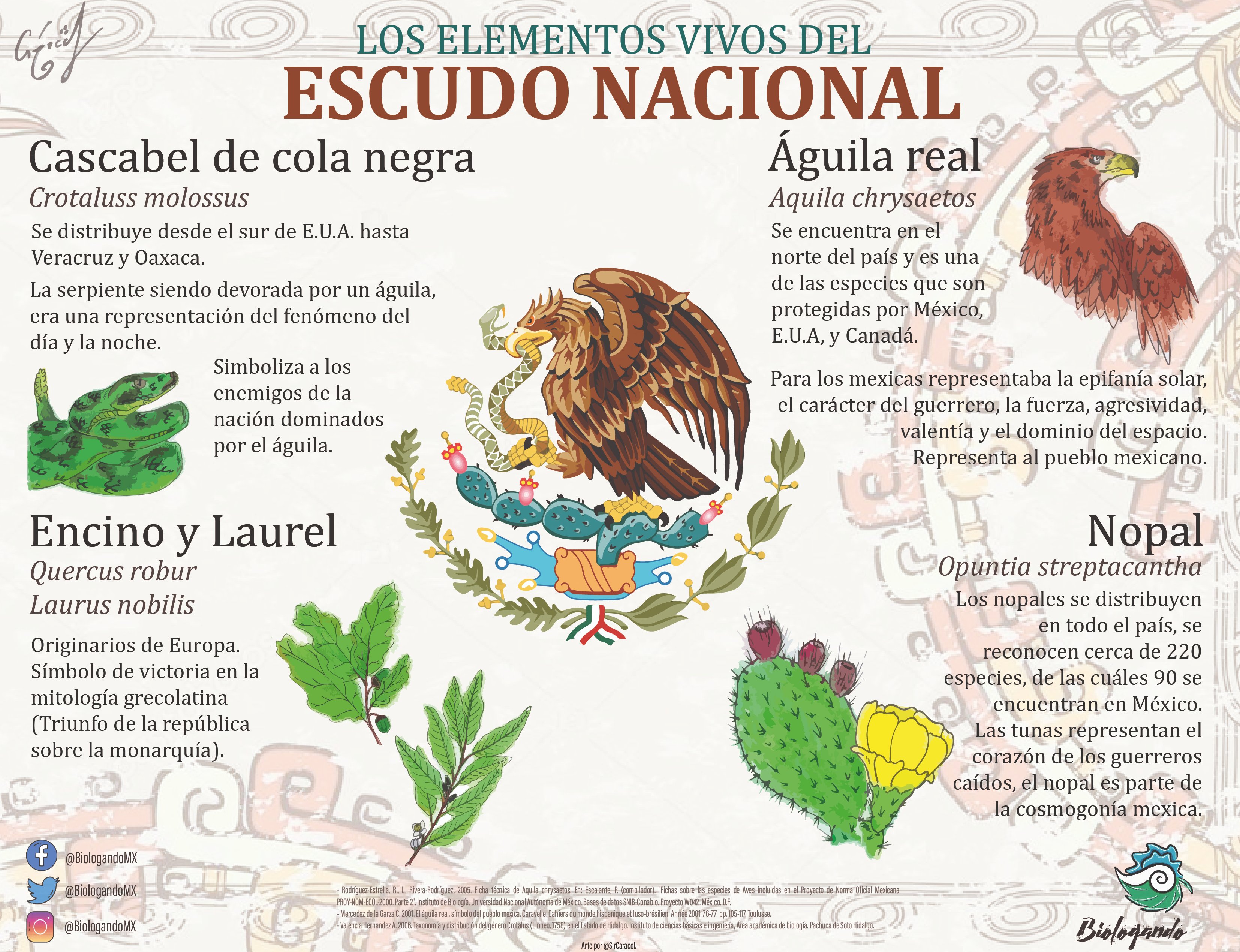 BiologandoMX on X: ¿Conoces los elementos vivos del Escudo🎉 Conheça o ... BiologandoMX on X: ¿Conoces los elementos vivos del Escudo🎉 Conheça o ...