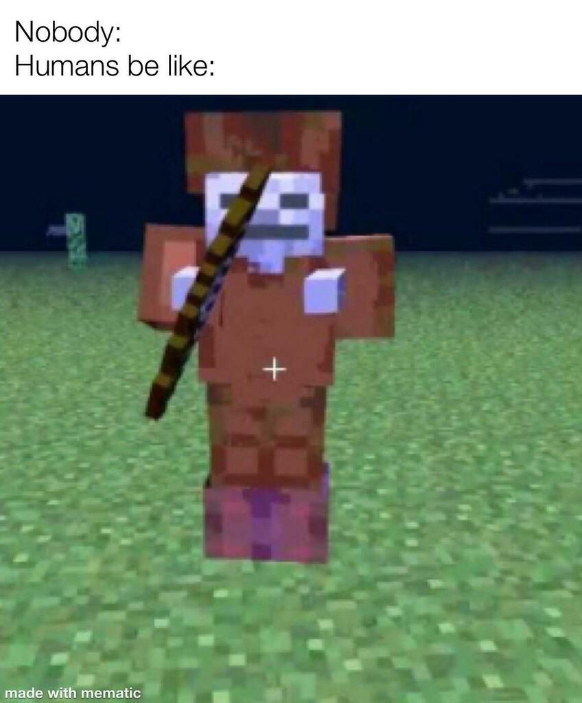 Minecraft Skeleton Memes