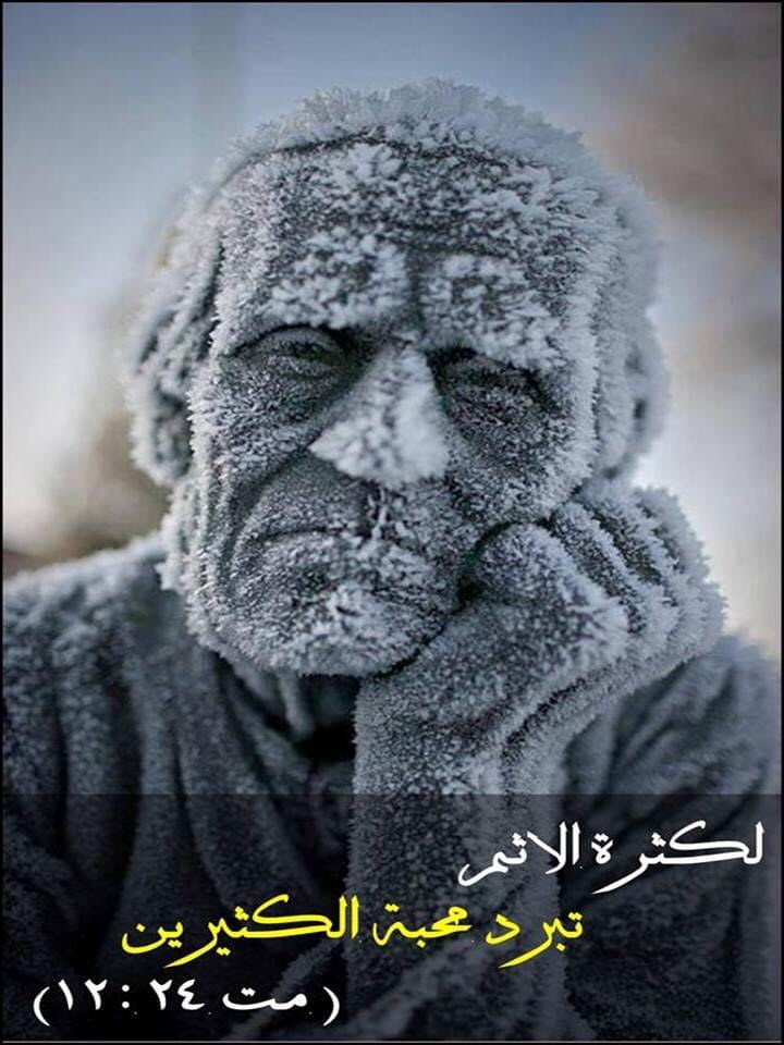 ╰ღ╮ᔕᗩᗰᗩᖇ ツ ᔕᗩᗰᑌᗴᒪ╭ღ╯ (@samar_sameh_3) | Twitter