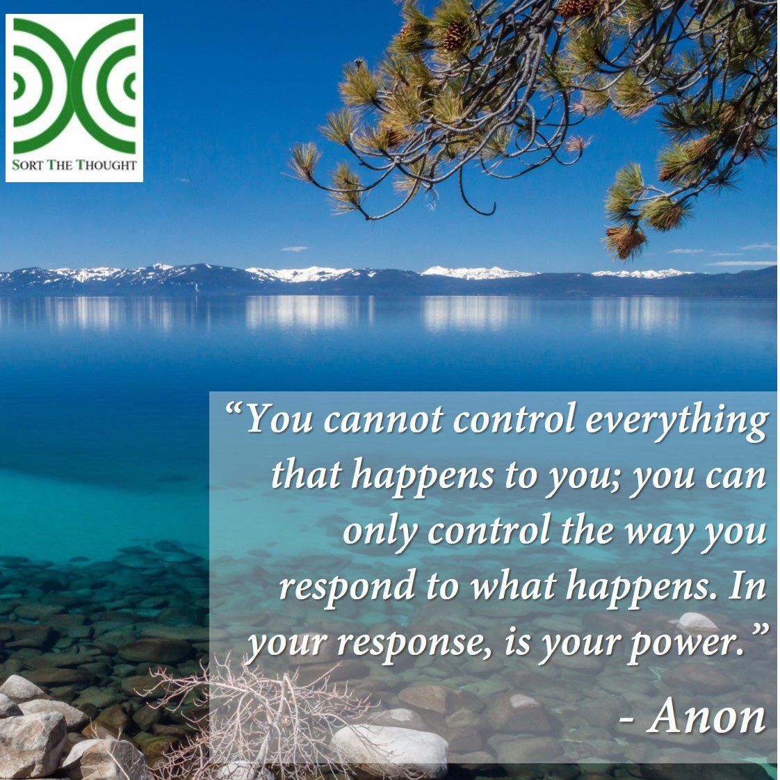 65 Quotes About Life | Arias Writing Journal