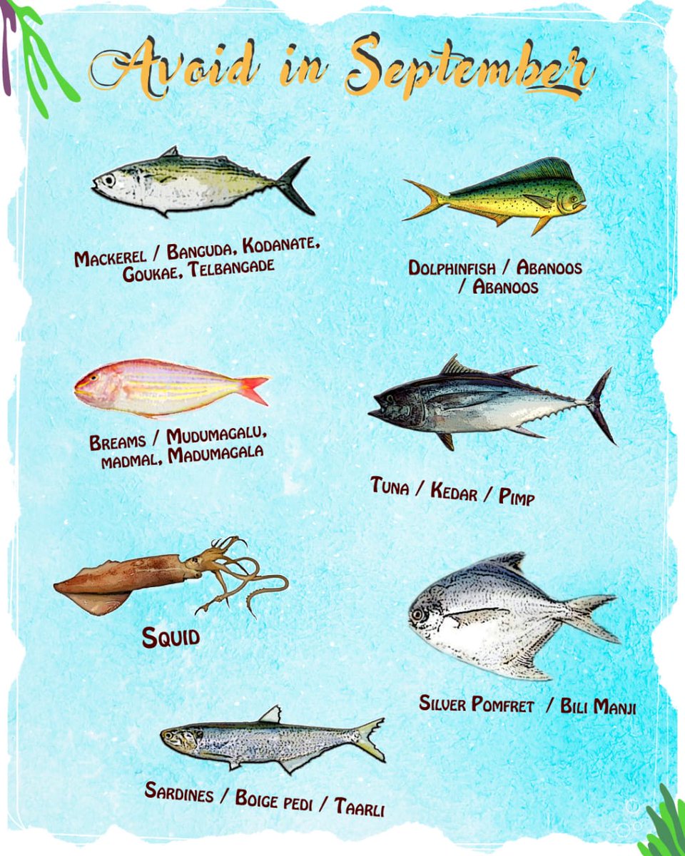 Names Of Fish To Eat