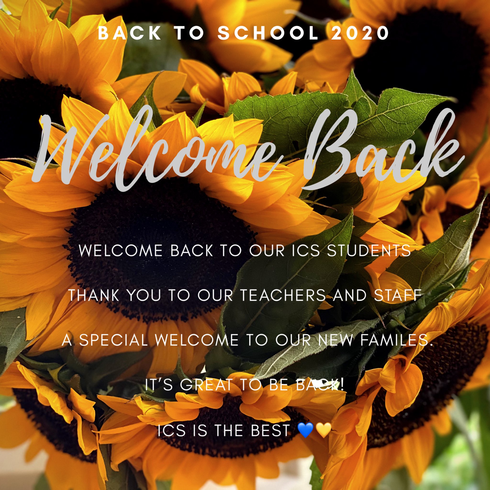 Welcome Back To School Quotes For Teachers