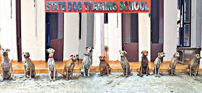 Indian Police Dog Training