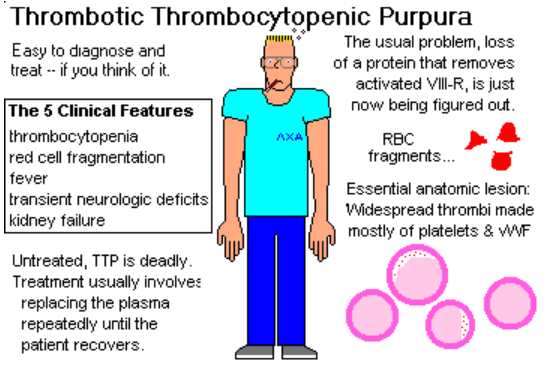 Thrombotic Thrombocytopenic Purpura Rash What's That Rash? An Approach