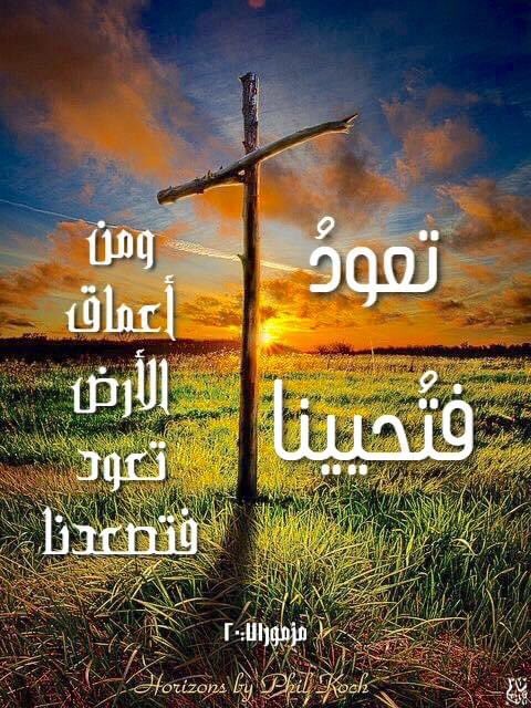 ╰ღ╮ᔕᗩᗰᗩᖇ ツ ᔕᗩᗰᑌᗴᒪ╭ღ╯ (@samar_sameh_3) | Twitter