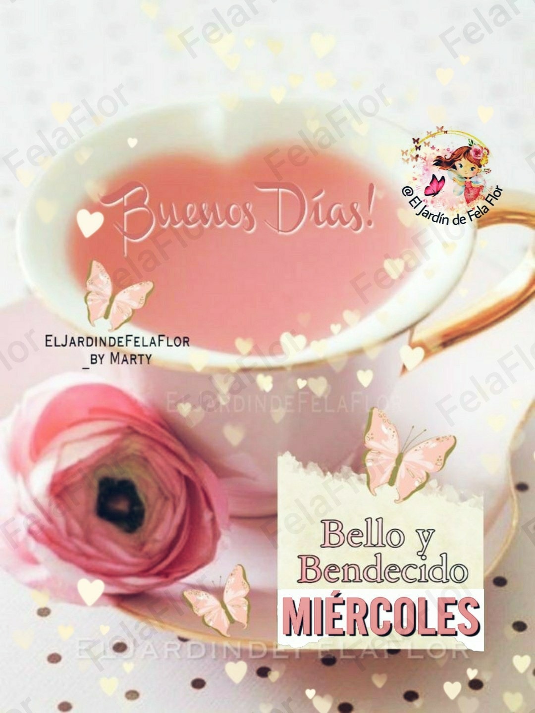 Imagenes De Un Bello Miercoles FELIZ DÍA A LA VIDA: Bello Día