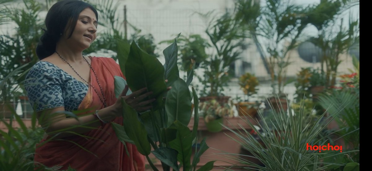 Anjan Roy (@AnjanRo81058084) | Twitter