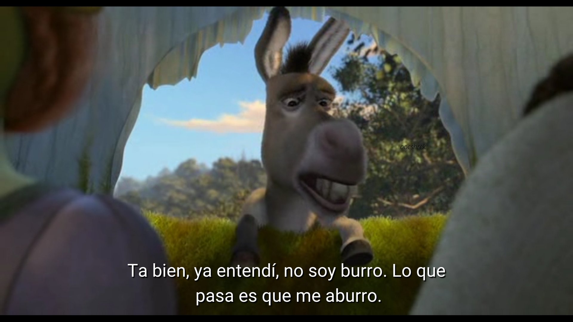 Meme Del Burro Shrek Shrek' Fans Have Strong Opinions Over Sequel's