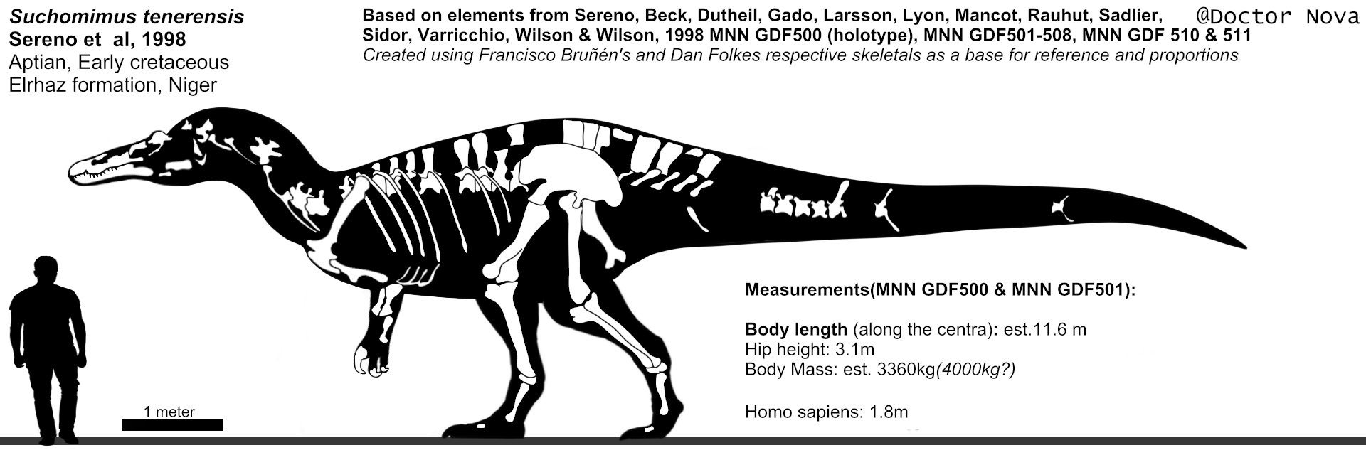 Suchomimus Vs Spinosaurus Drawing