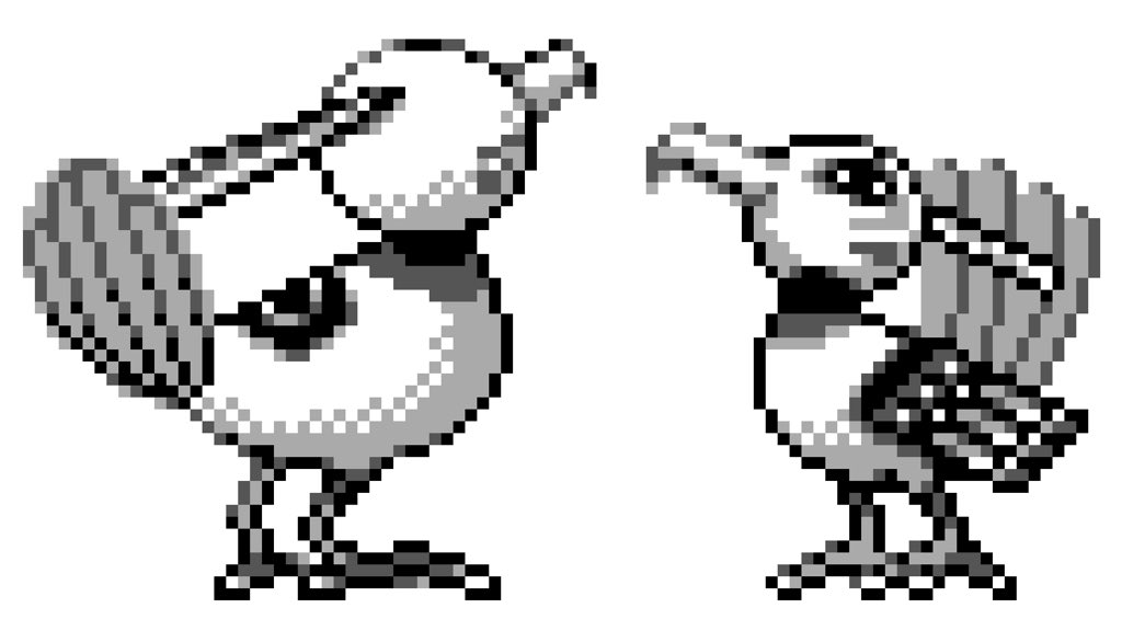Xatu Evolution