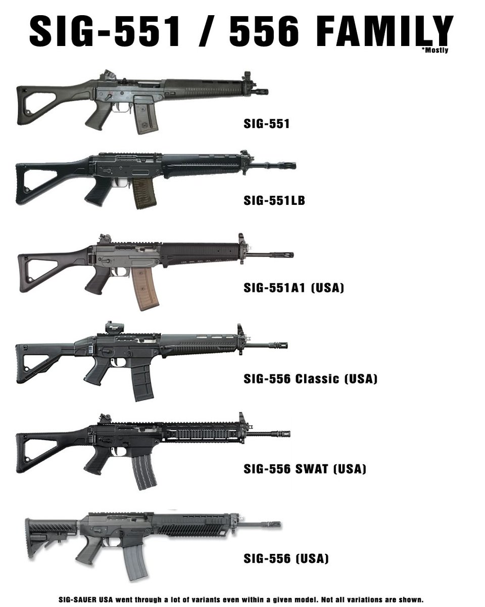 Quad rail handguard for sig 556 - lasopacars