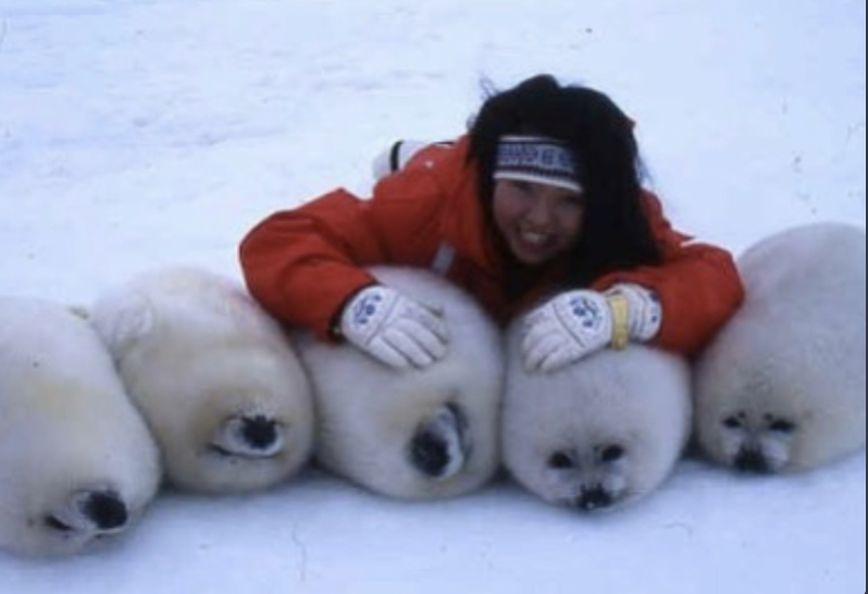 Baby Seals Cuddling